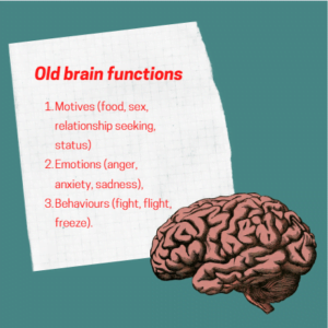 New brain vs old brain – Trust Therapy